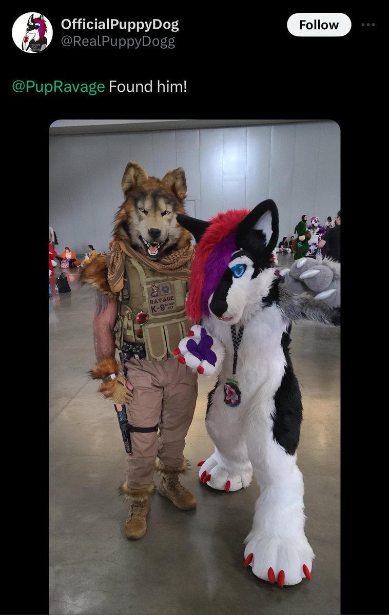 Thread by @NoVA_Campaigns on Thread Reader App – Thread Reader App