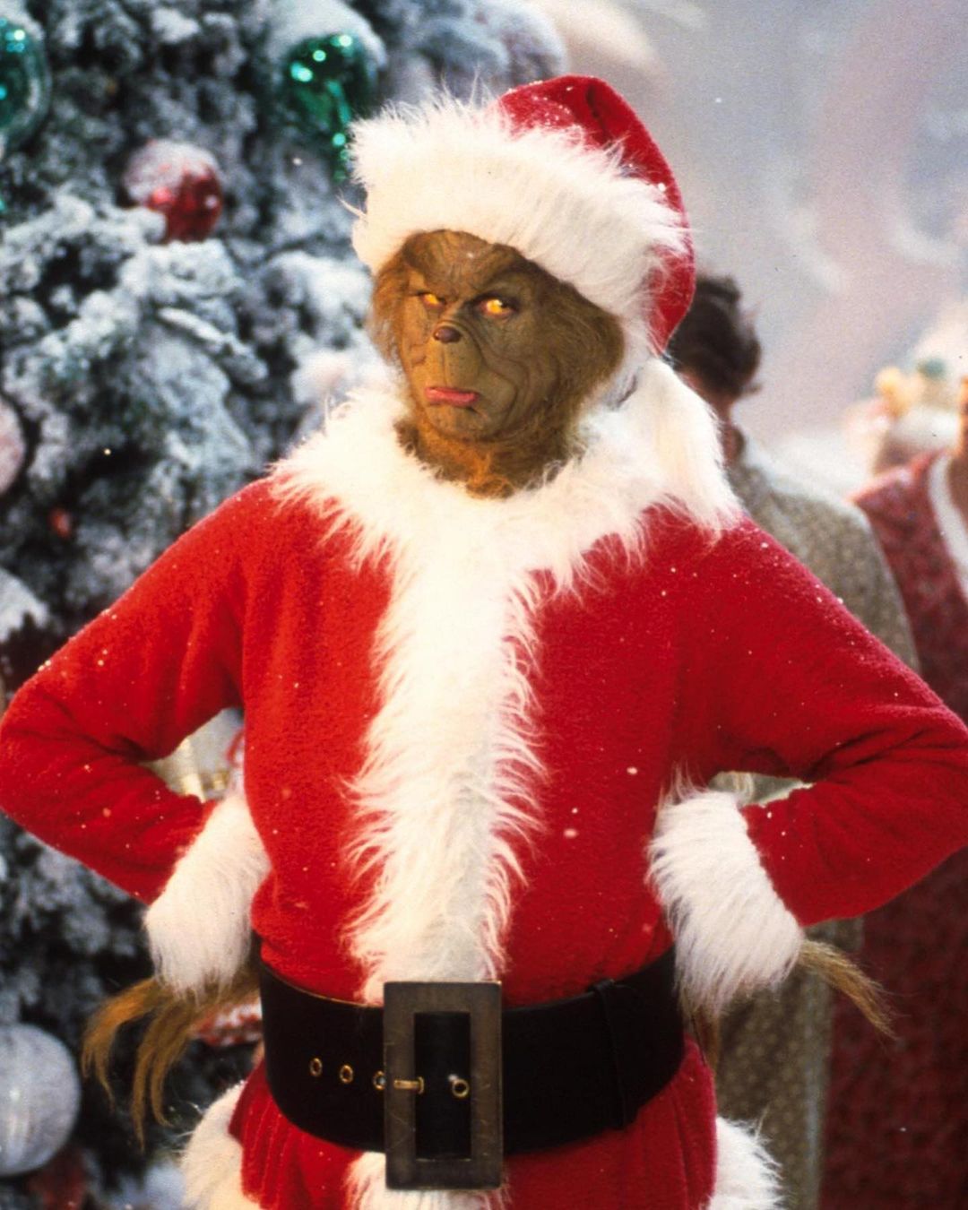 The Grinch Jim Carrey Wallpaper