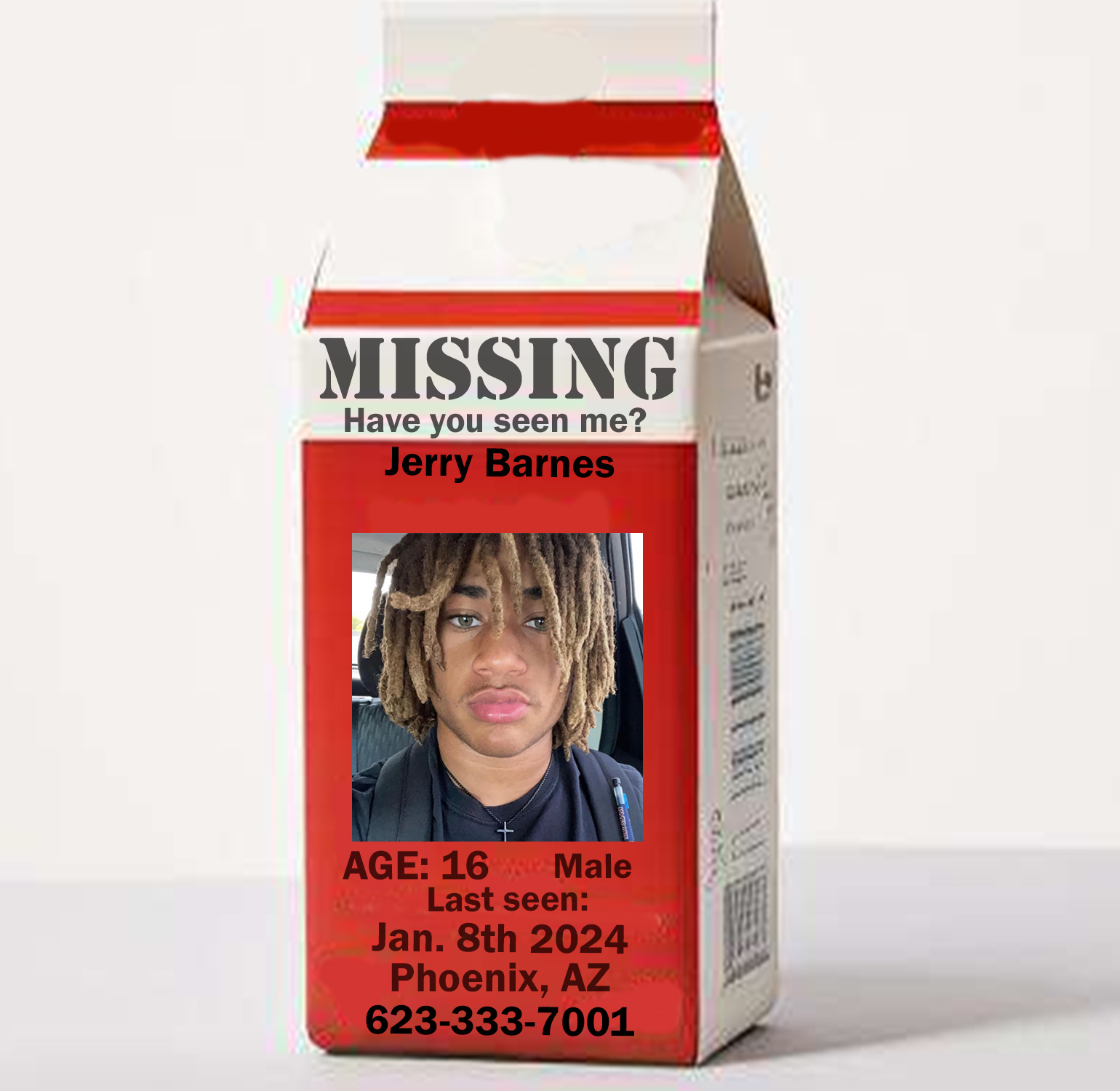 Lost Milk Carton The Research Behind Our Story Lily Ann Fouts