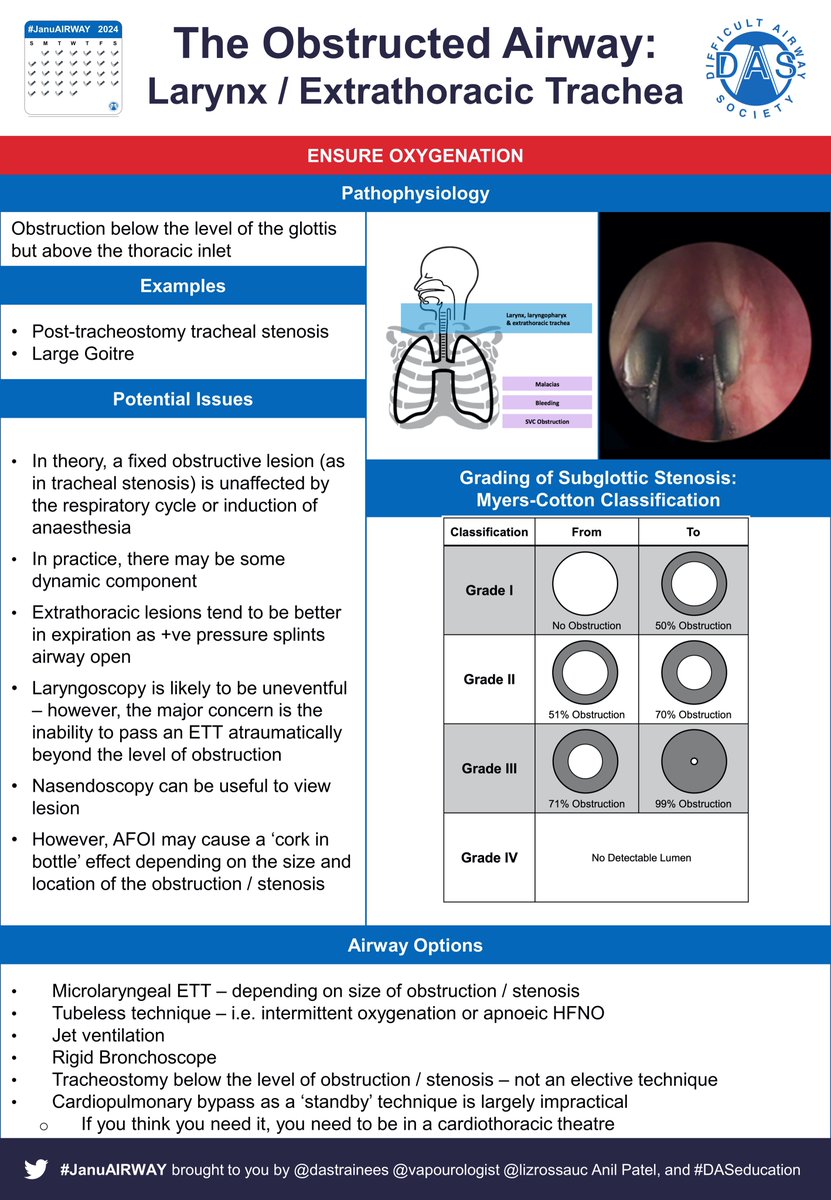 #JanuAIRWAY Day 19. Back to Airway Obstruction – Today its Infraglottic ...