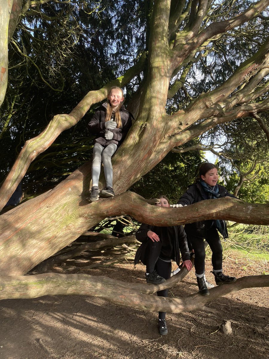 Newminster Middle School | Part of The Cheviot Learning Trust