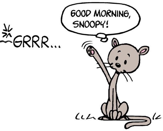 Peanuts Friends Friday! today’s character is one of snoopy’s arch ...