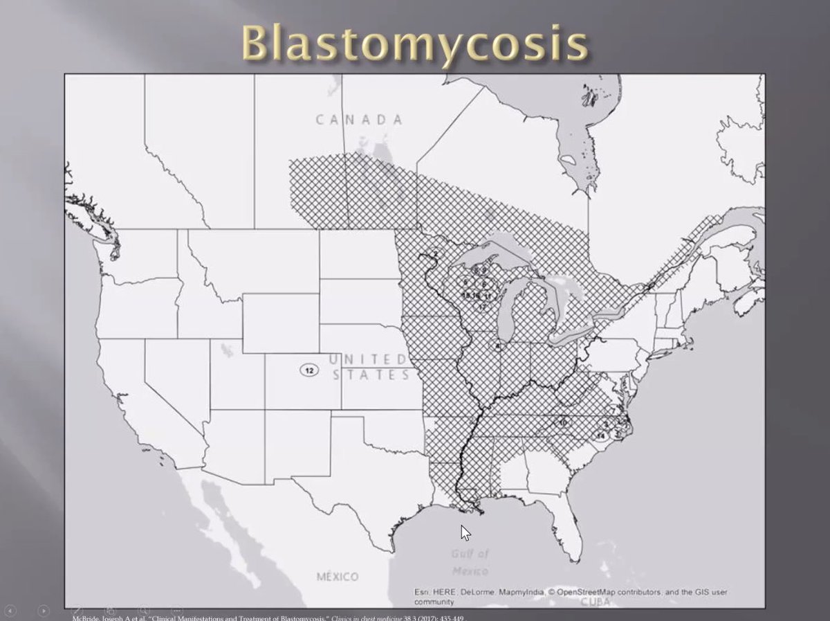 Blastomycosis Map Development Of A Duplex Real Time PCR Assay For The