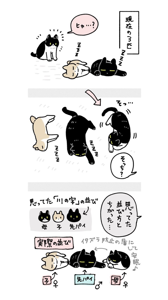 「おまけ お年玉は110円」AKR@6巻でましたの漫画