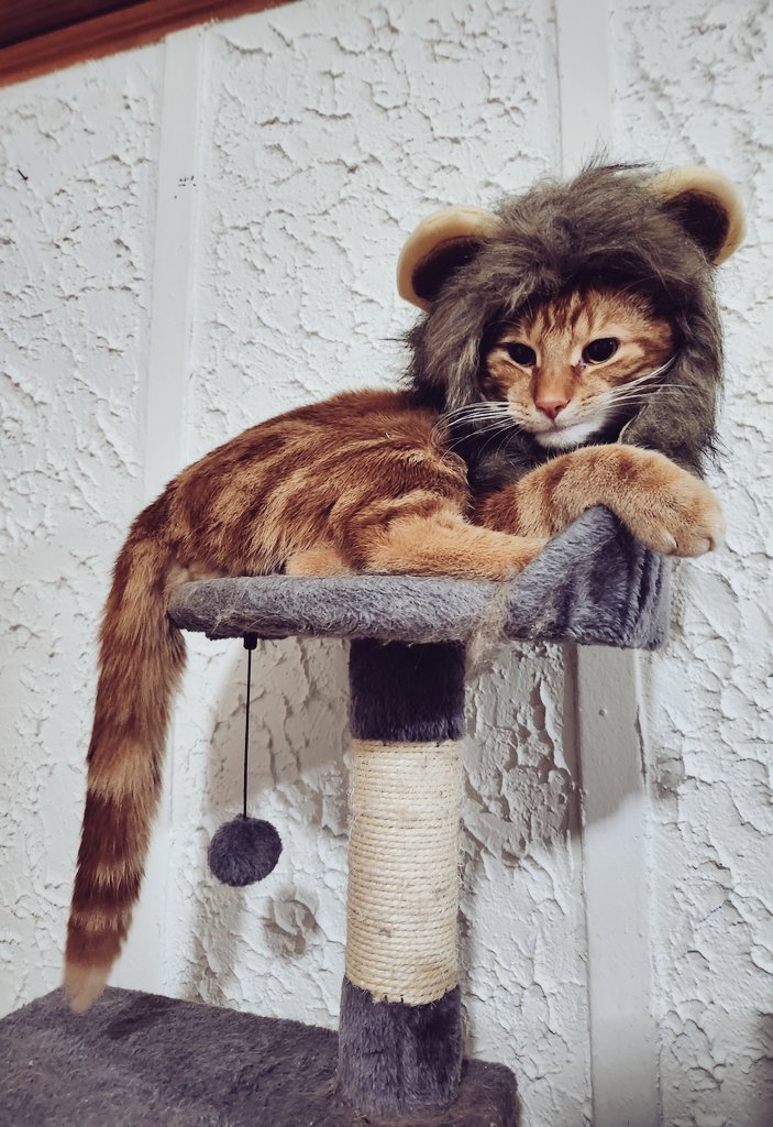 Sunstark🌈のイラスト