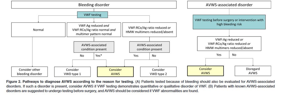 😱Challenges in hematology😱 acquired von Willebrand Syndrome (aVWS)🩸 A ...