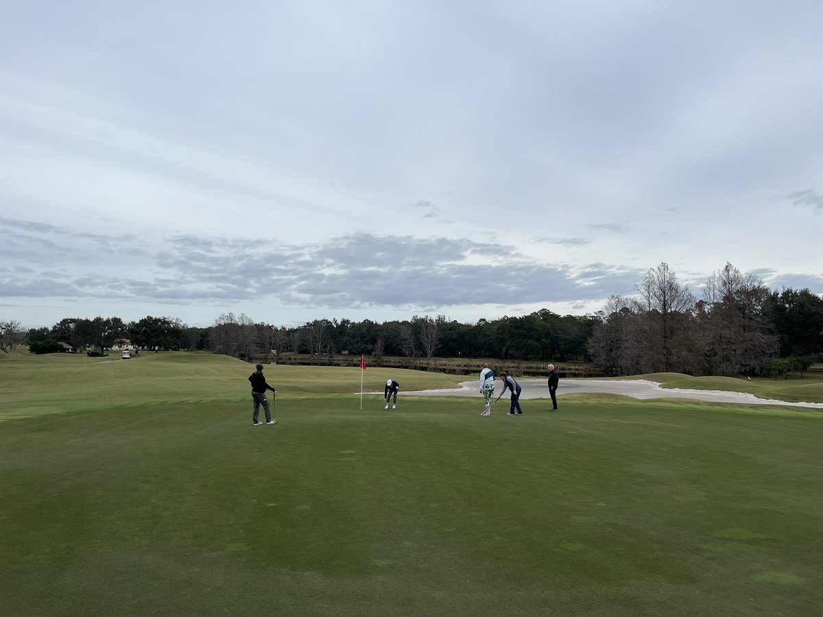 Tri-Tex Grass (@GrassTri) / Posts / X
