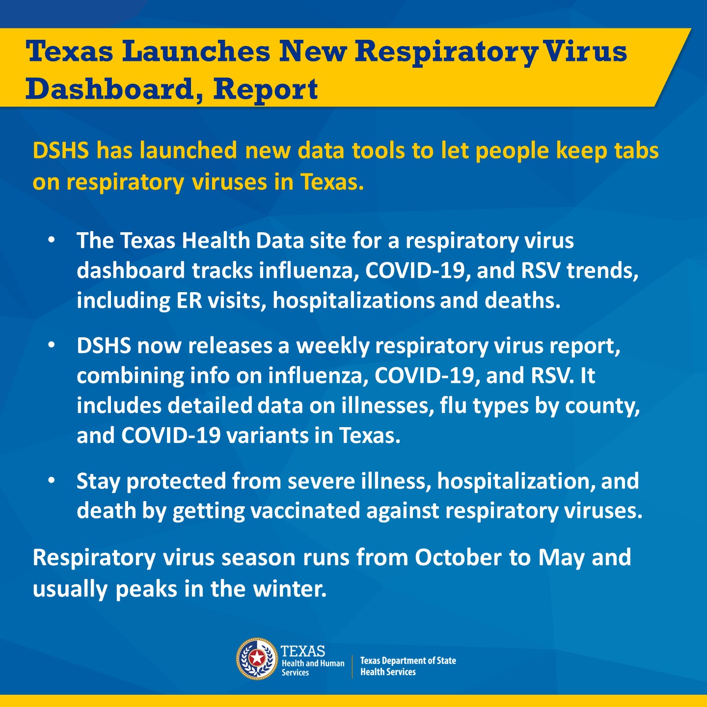 Respiratory Fact Sheet Graphics: What We Know About The Recent Surge