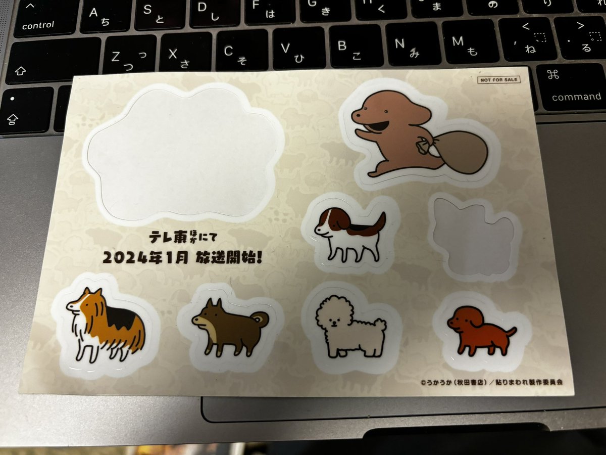 Daigo Akane (赤根 大吾)💉x5(@dgakane) - Twilog