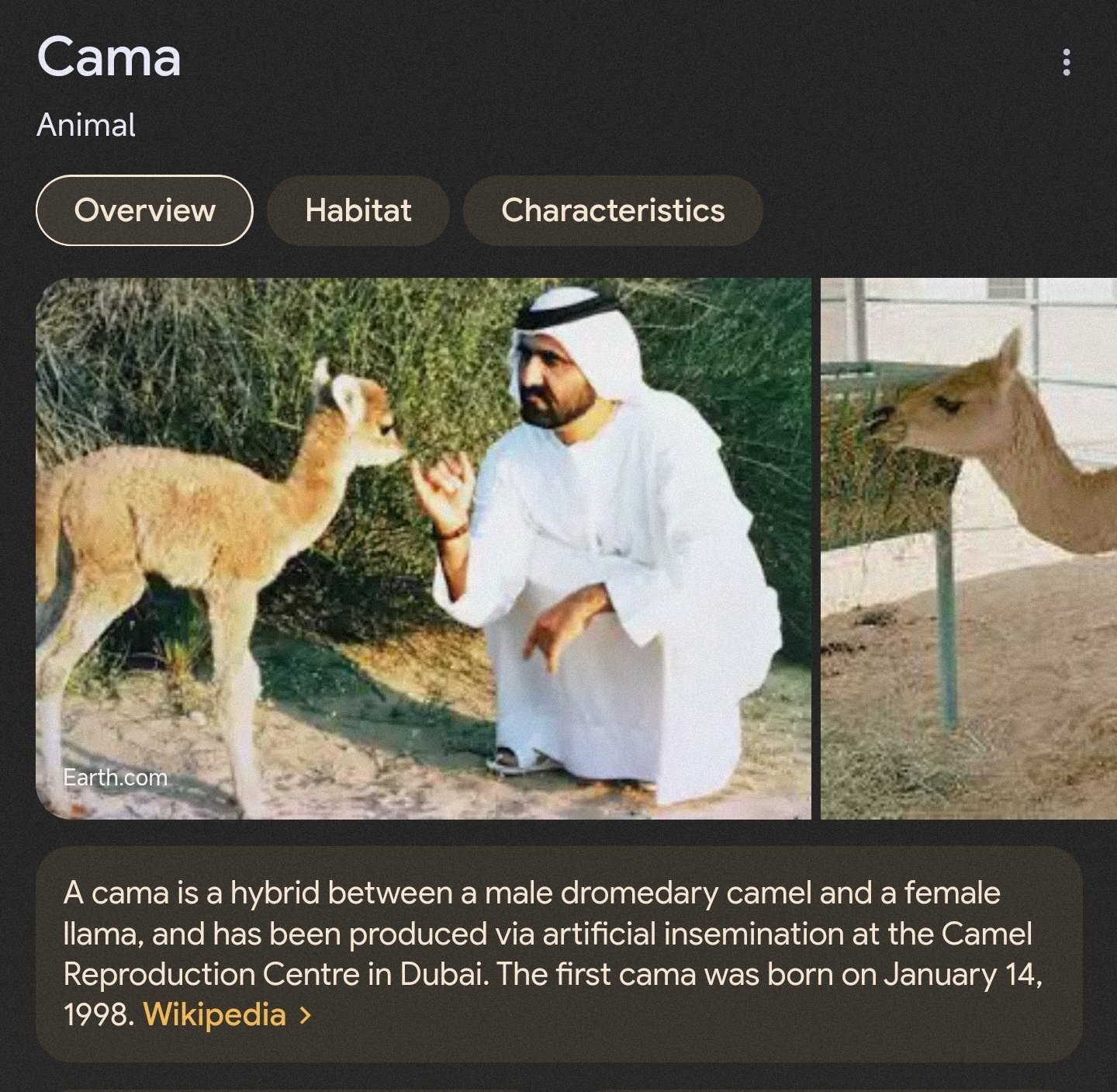 Cama Hybrid Helix Midnight Elite Medium Hybrid Mattress · Mattress