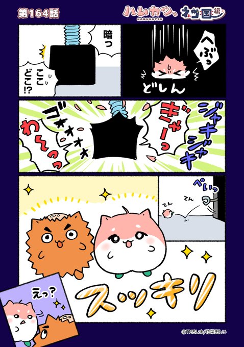 ╭━━━━━━╮ ネコ国編 ╰━ v ━━━━╯ 「スッキリ」 .. | TMSLab(トムスラボ) さんのマンガ | ツイコミ(仮)