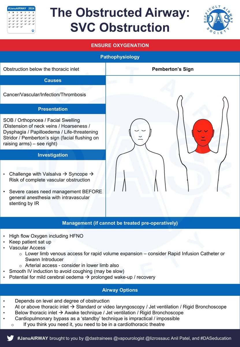 #JanuAirway Day 24. Malacias and SVC obstruction. Let's start with what ...