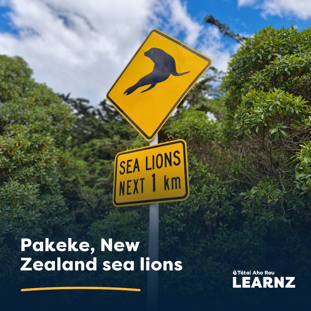 LEARNZ @LEARNZ X Profile | Muskviewer