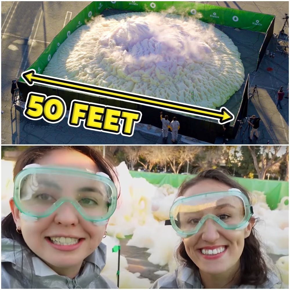 Elephant Toothpaste World Record New Elephant Toothpaste World Record