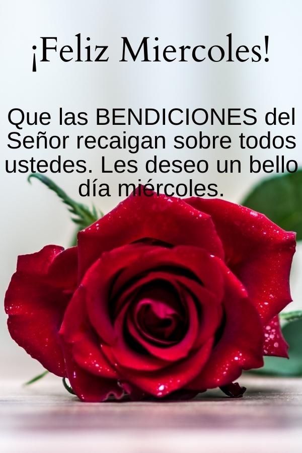 Imagenes De Un Bello Miercoles FELIZ DÍA A LA VIDA: Bello Día