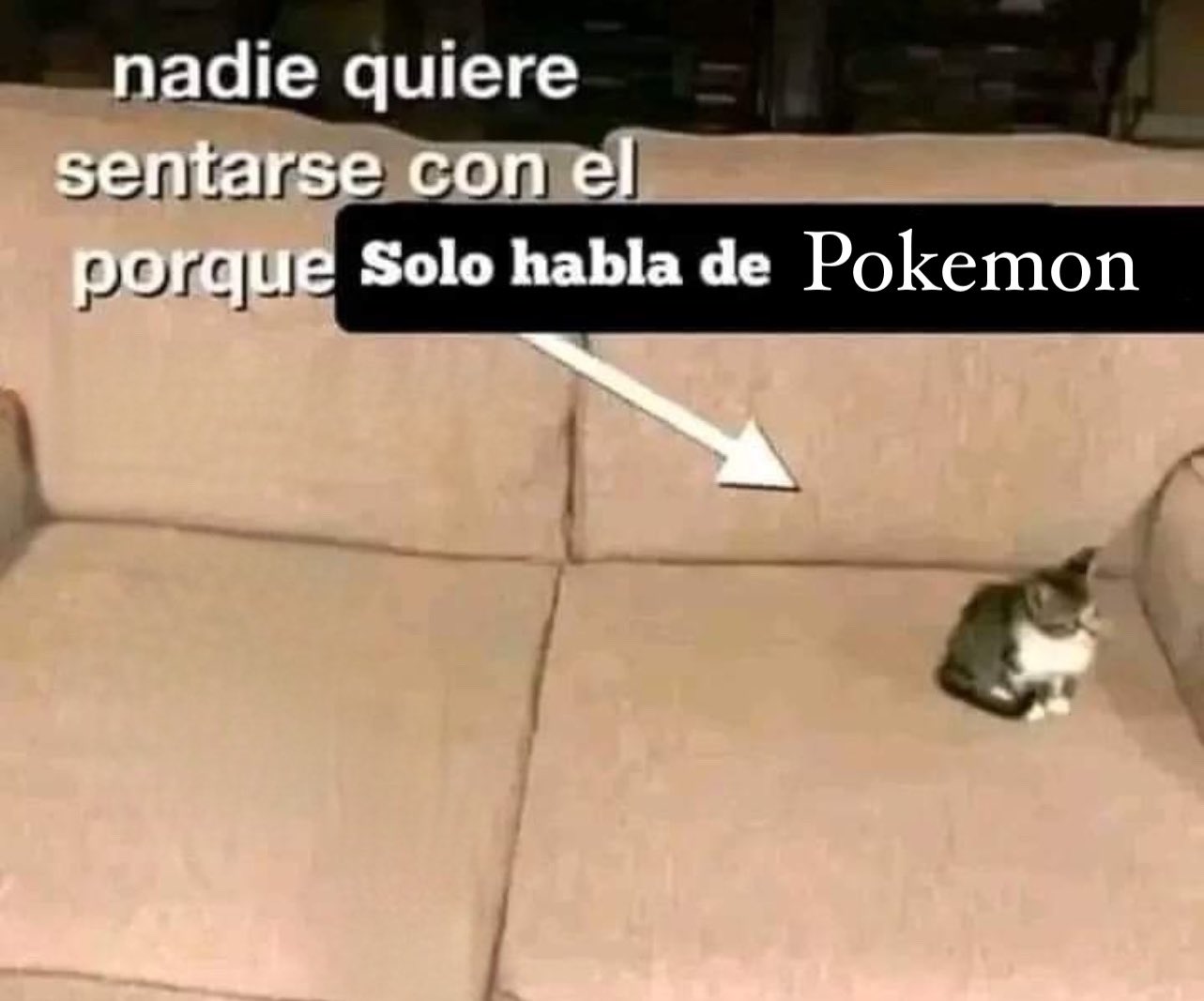 Memes De Sentarse Lo Que Sea Antes De Sentarse En Ese Banco