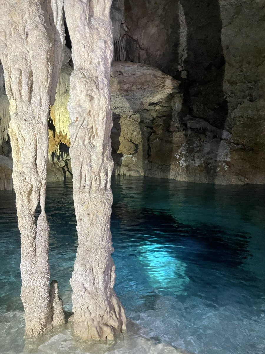 Bea Guillén Torres's Threads – Thread Reader App