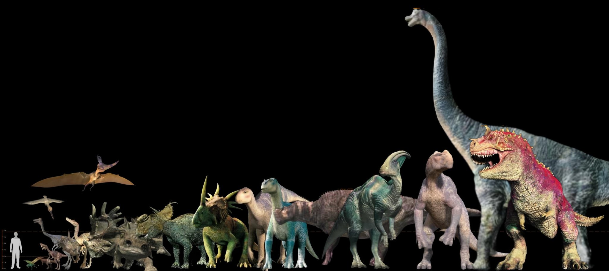 Dinosaur Size Chart