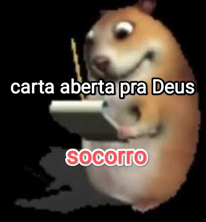 Meme Animado Engracado