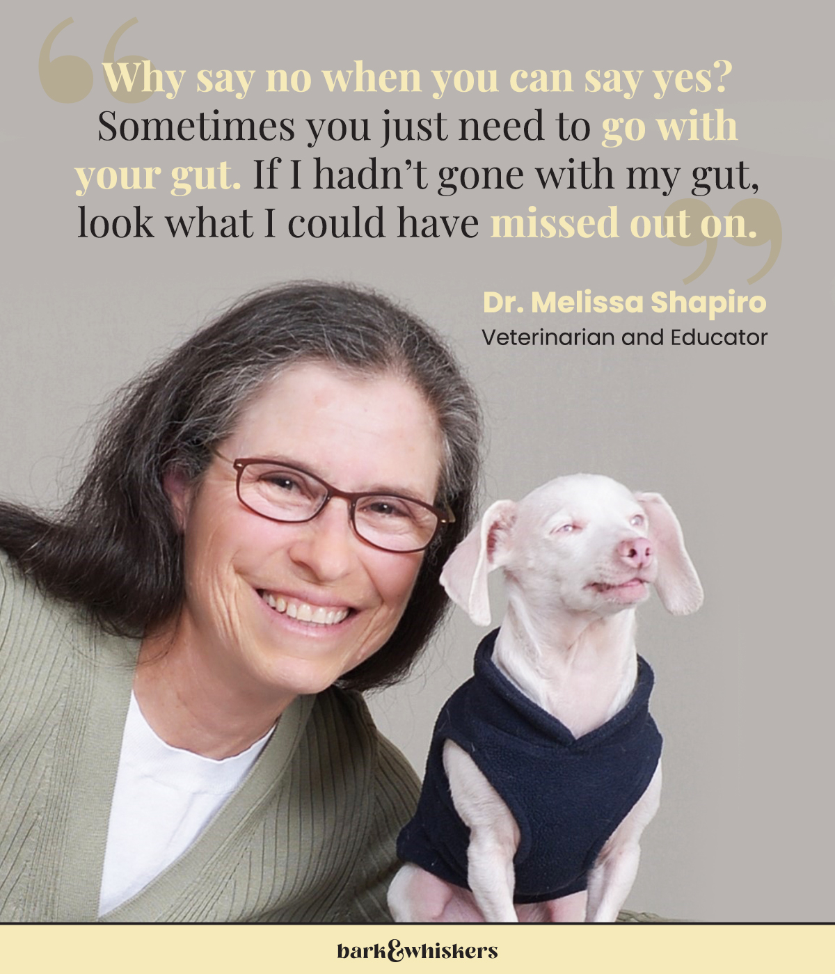 Famous Veterinarian Quotes 60 Famous Cat Quotes