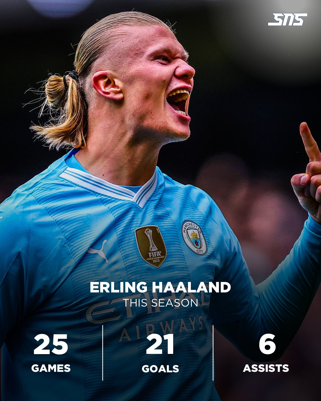 Erling Haaland Stats