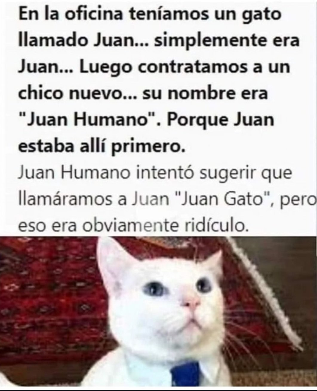 Memes De Que Ridiculo Memes Antichivas No Les Basta Con Hacer