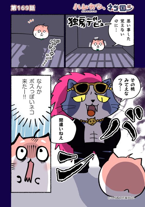 ╭━━━━━━╮ ネコ国編 ╰━ v ━━━━╯ 「独房デビュー.. | TMSLab(トムスラボ) さんのマンガ | ツイコミ(仮)