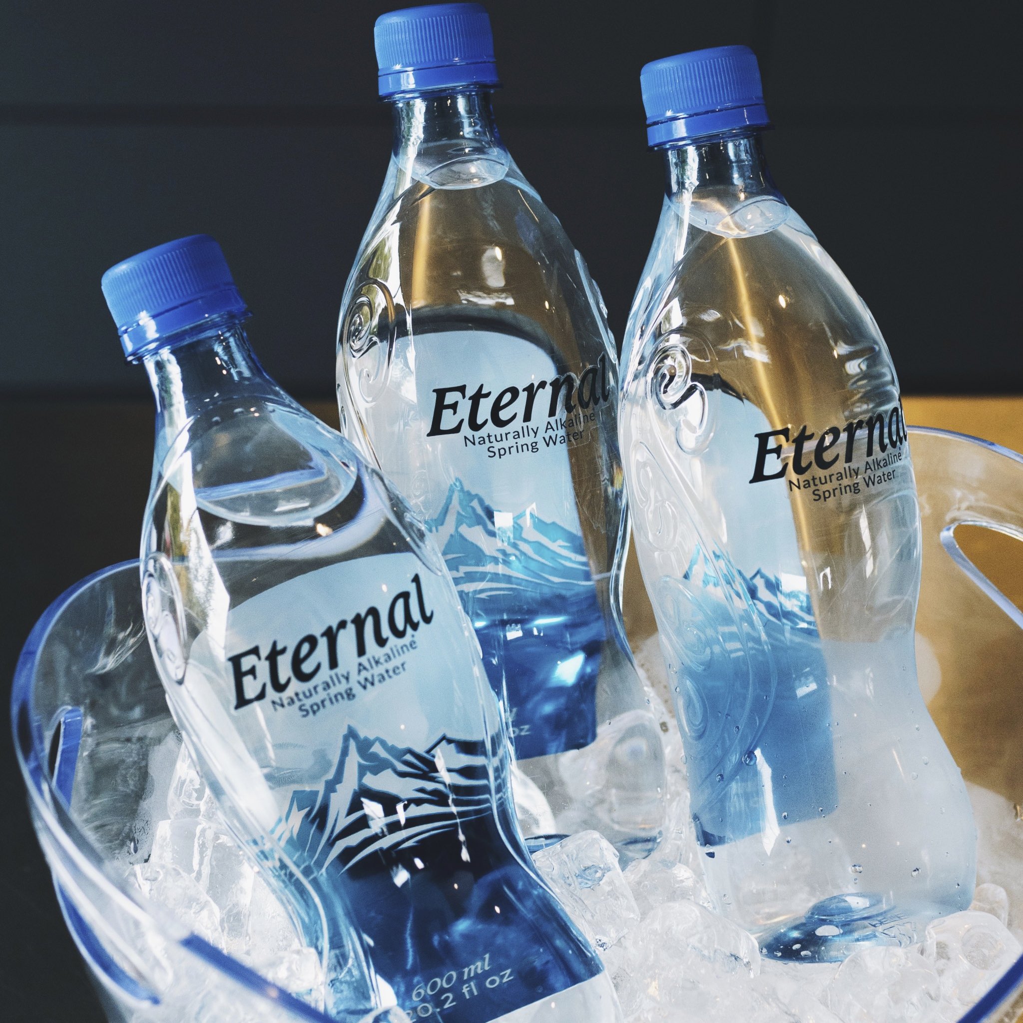 Eternal Artesian Water