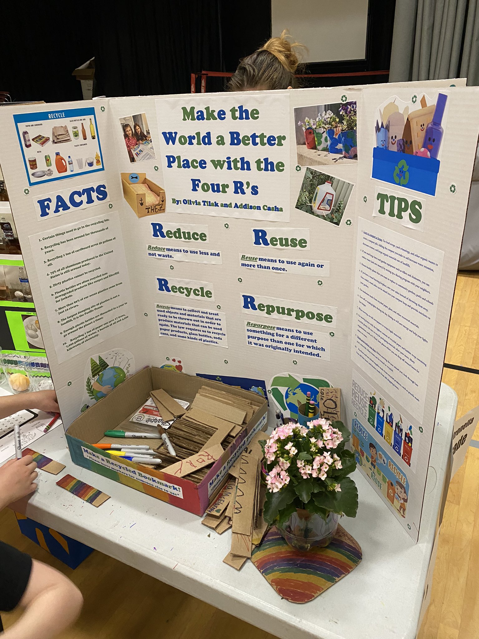 Recycle Science Project