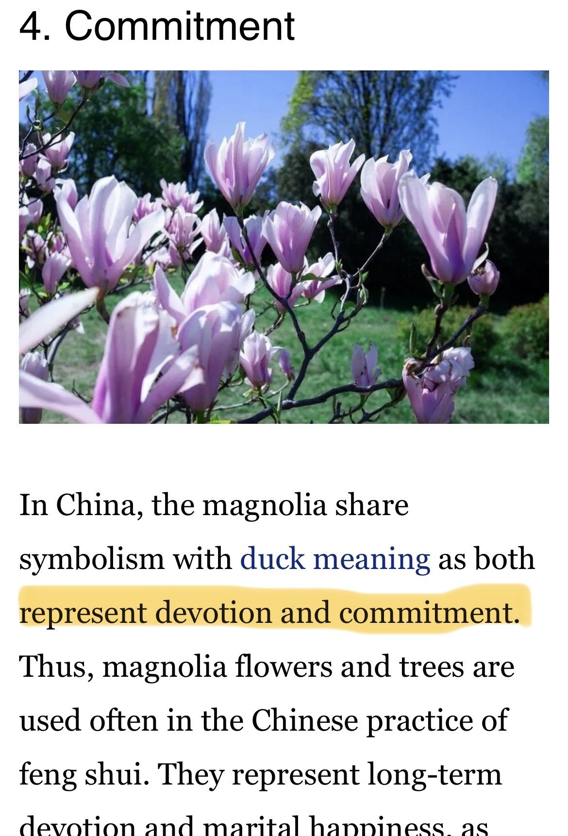 Magnolia Blossom Quotes