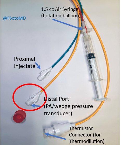 1/11 #PAC 101 (The Catheter) A cath lab pt just arrived in your ICU ...