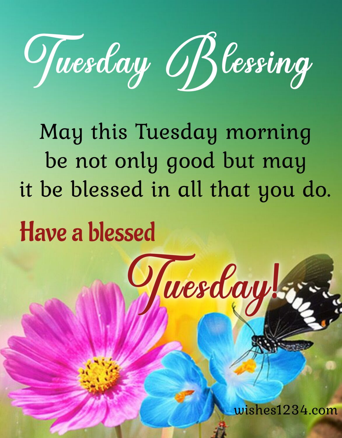 Blessed Tuesday Quotes