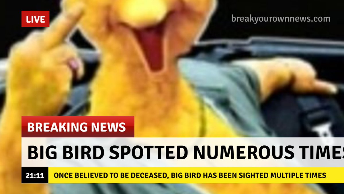 Big Bird Meme The “Signalgate” Memes Have Entered The Chat