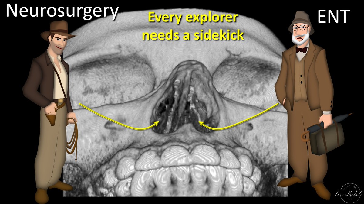 1/Want to understand skull base surgery? Just follow your nose ...