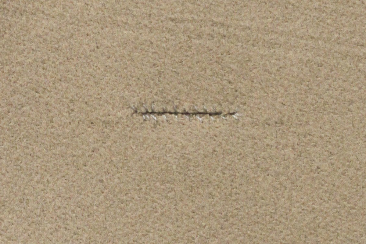 I see contrast buttonholes everywhere nowadays, and they're awful (pic ...