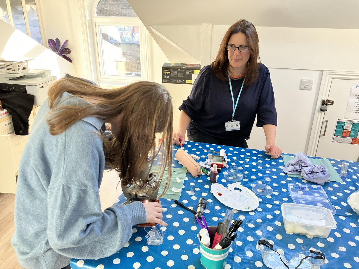 Home - Strive for Education