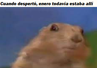 Memes Dramaticas Maldi Tasea 𓆰𓆪 On X: "@axel_bischoff