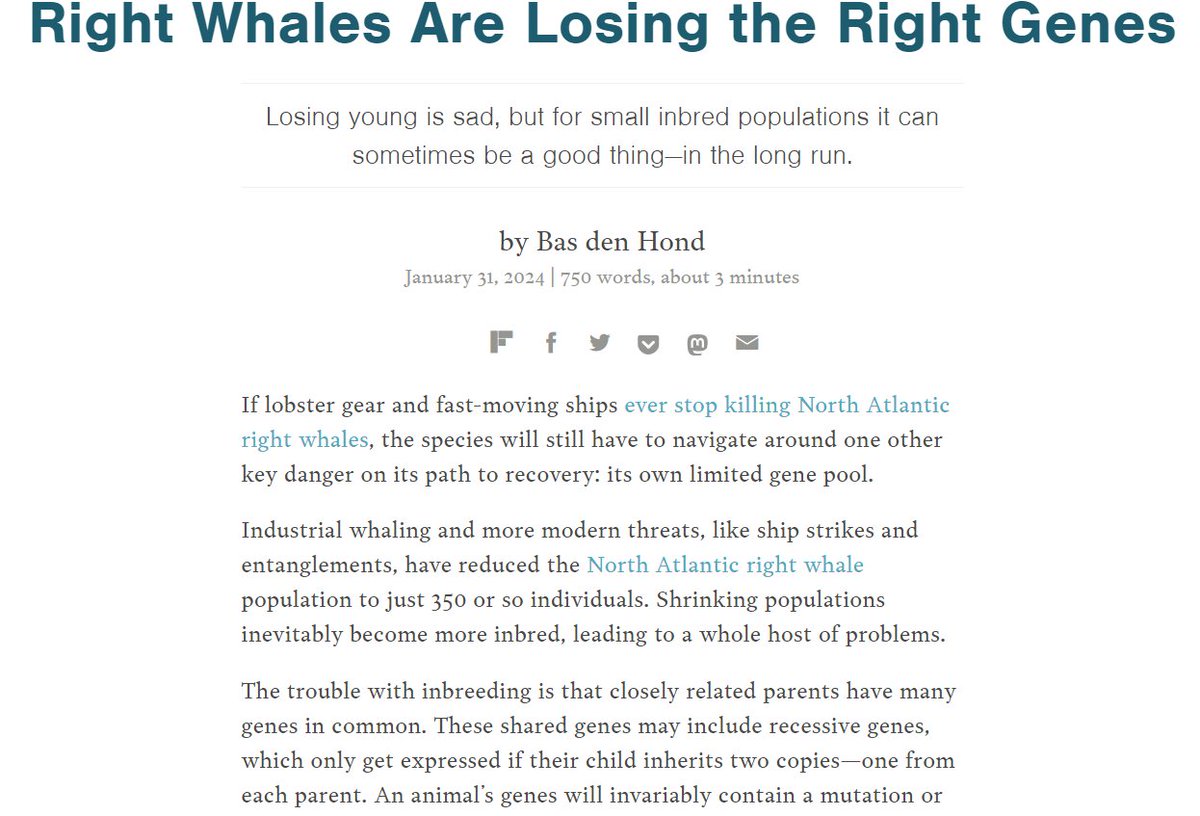 Post by Cetacean Action Treasury
