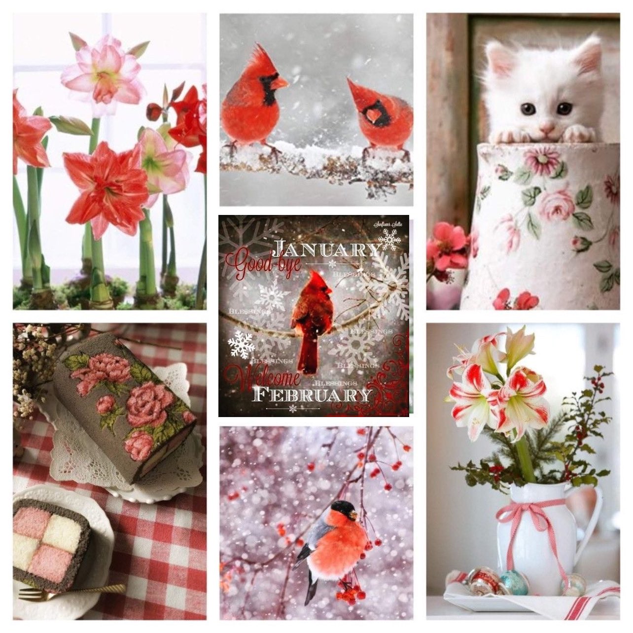 Adios Enero Y Bienvenido Febrero Bienvenido Febrero Adios Enero