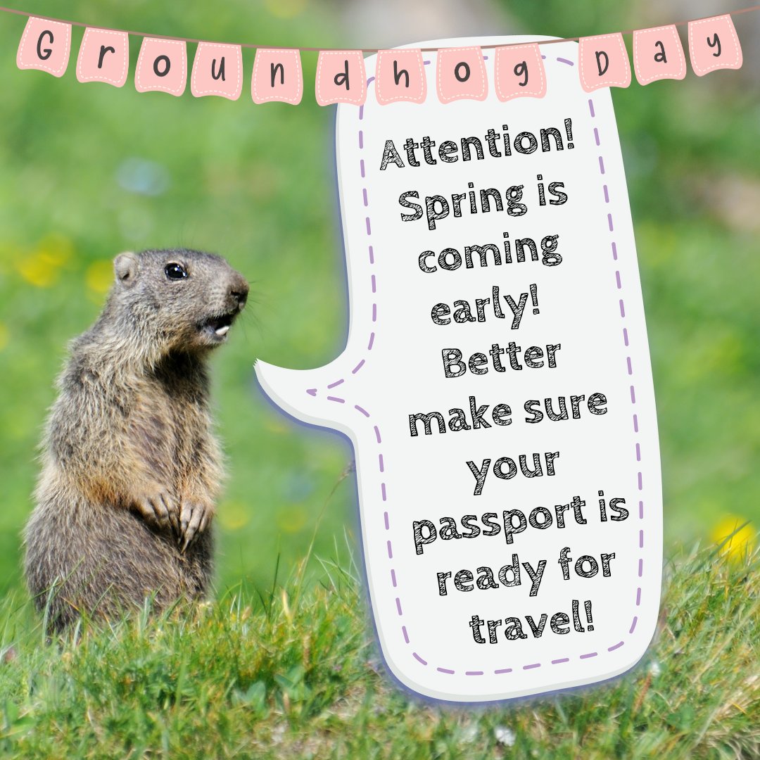Happy Groundhog Day Quotes