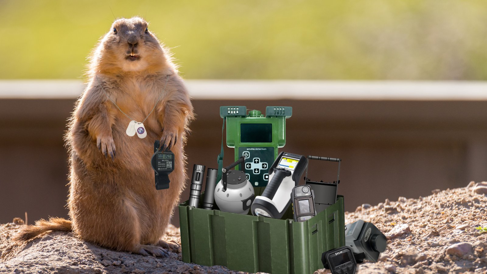 Shocked Groundhog Memes Pin Page