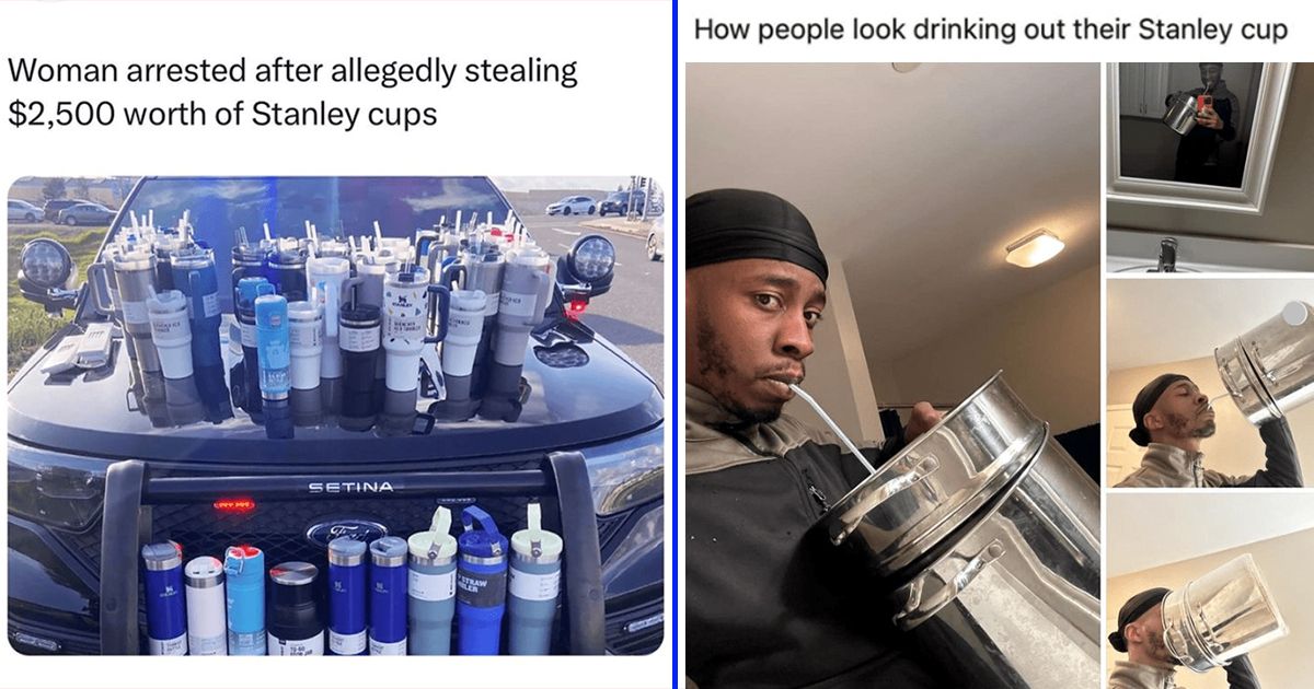 Stanley Cup Memes But I Won’t Carry A Regular Purse Cuz It’s Too