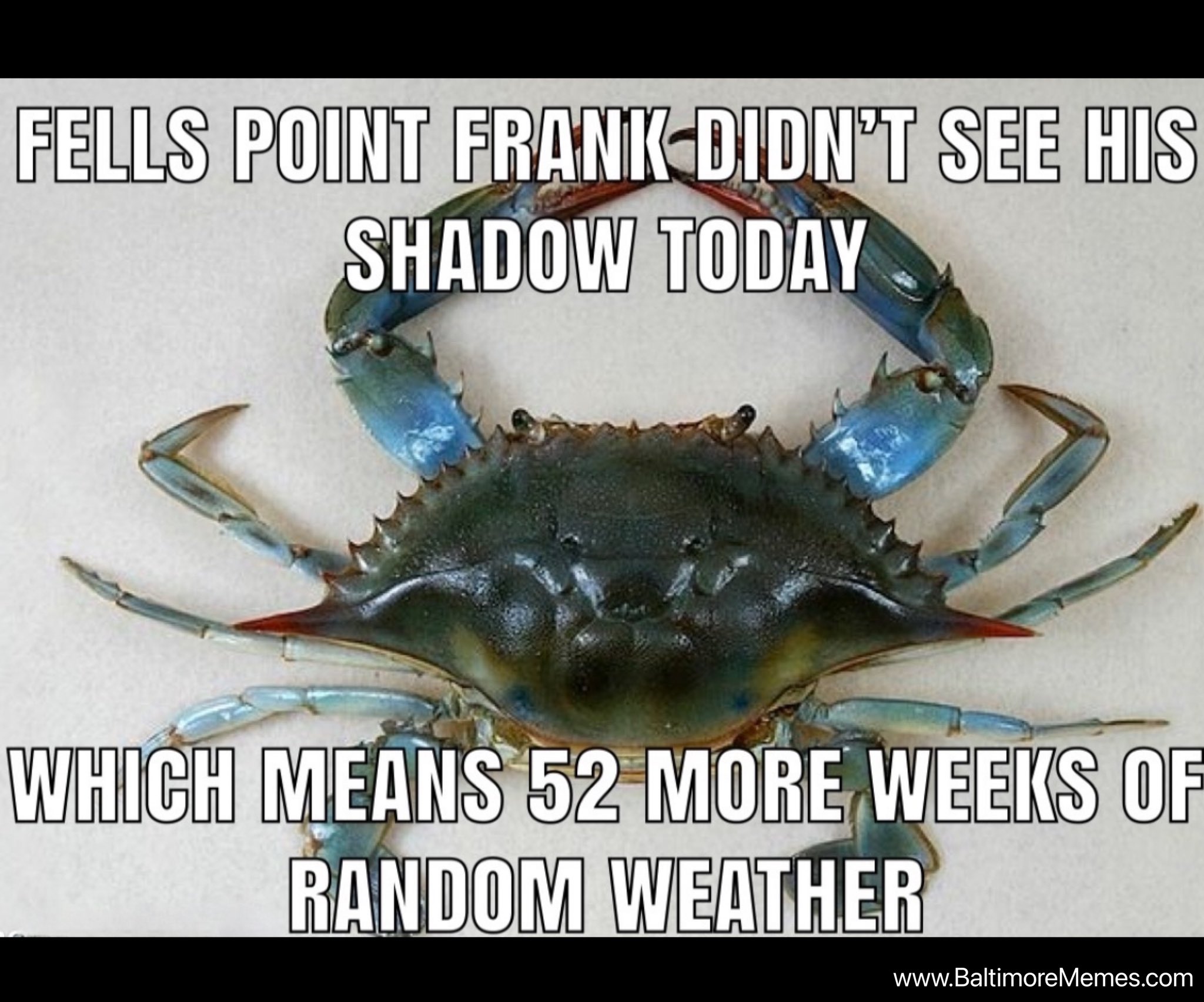 Blue Crab Memes
