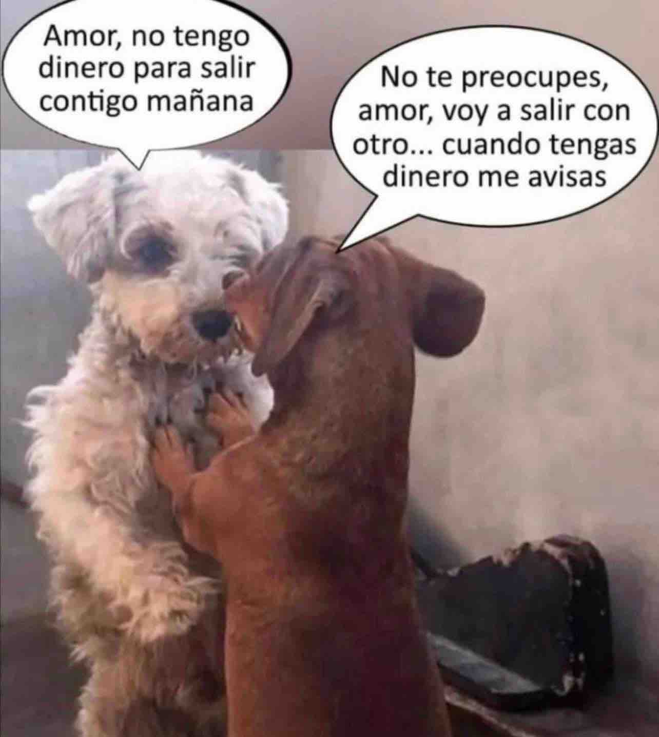Memes Besar Memes Universidad Nacional On X: "https://t.co/YCyP56RNUB"