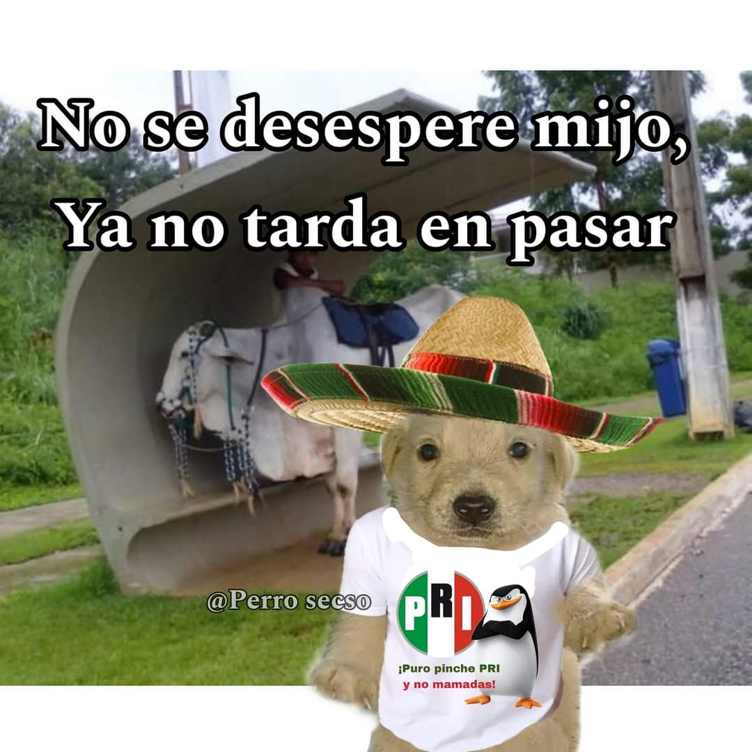 Memes El Pri Social Memes Dejen De Engañarse, Morena Es El Nuevo