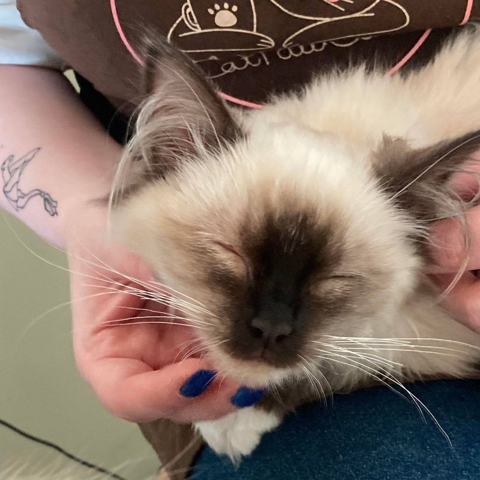 Guy Siamese Tattoos 40 Best Small Tattoos For Men: Ideas And Designs