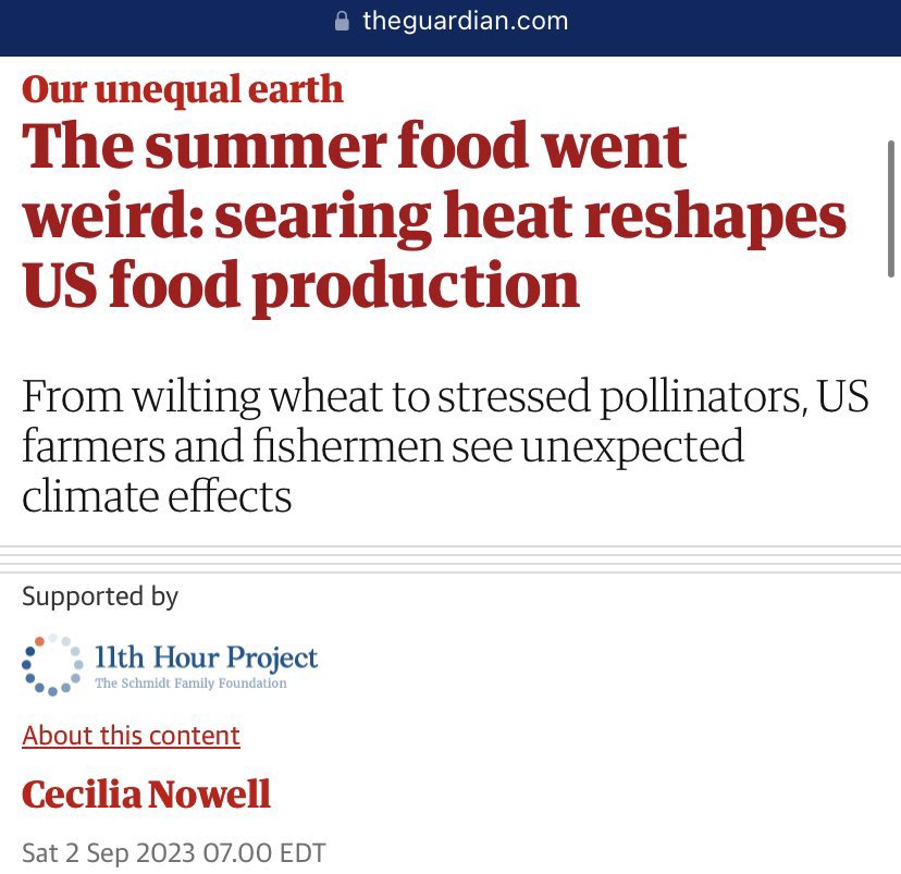 Laura Miers's Threads – Thread Reader App