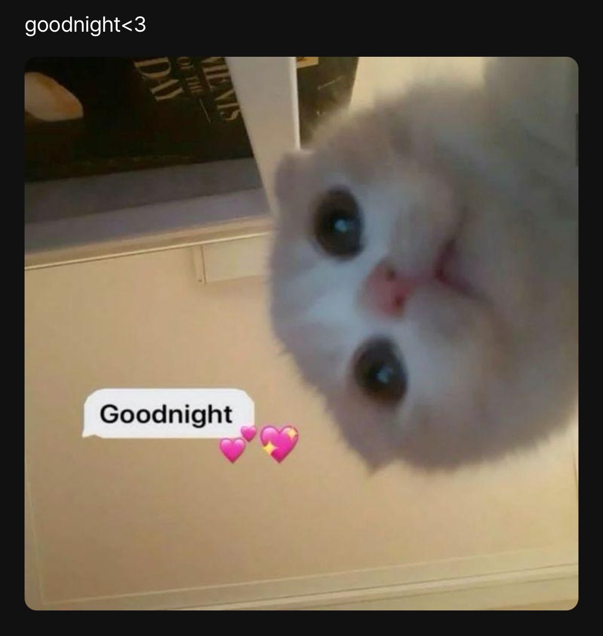 Romantic Goodnight Memes Cute