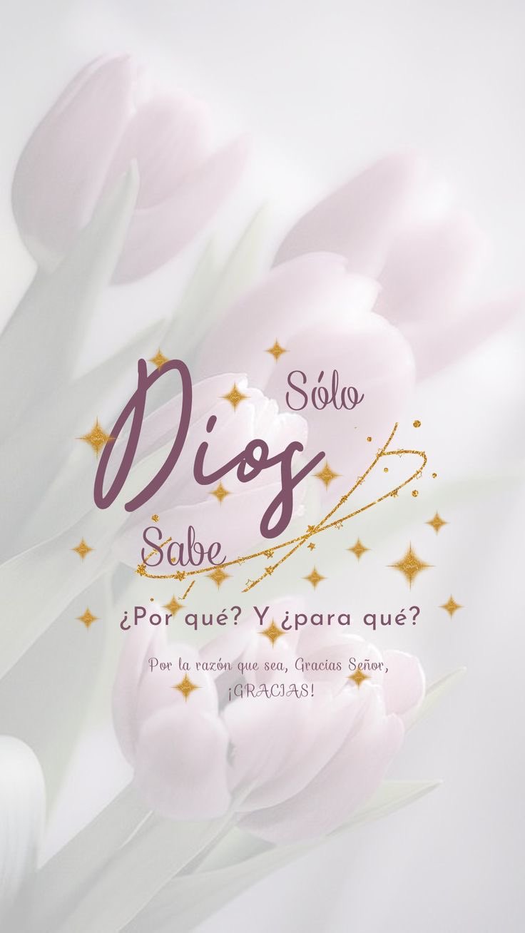 Dios Sabe Amazon.com: Jesús: El Dios Que Sabe Tu Nombre (Spanish