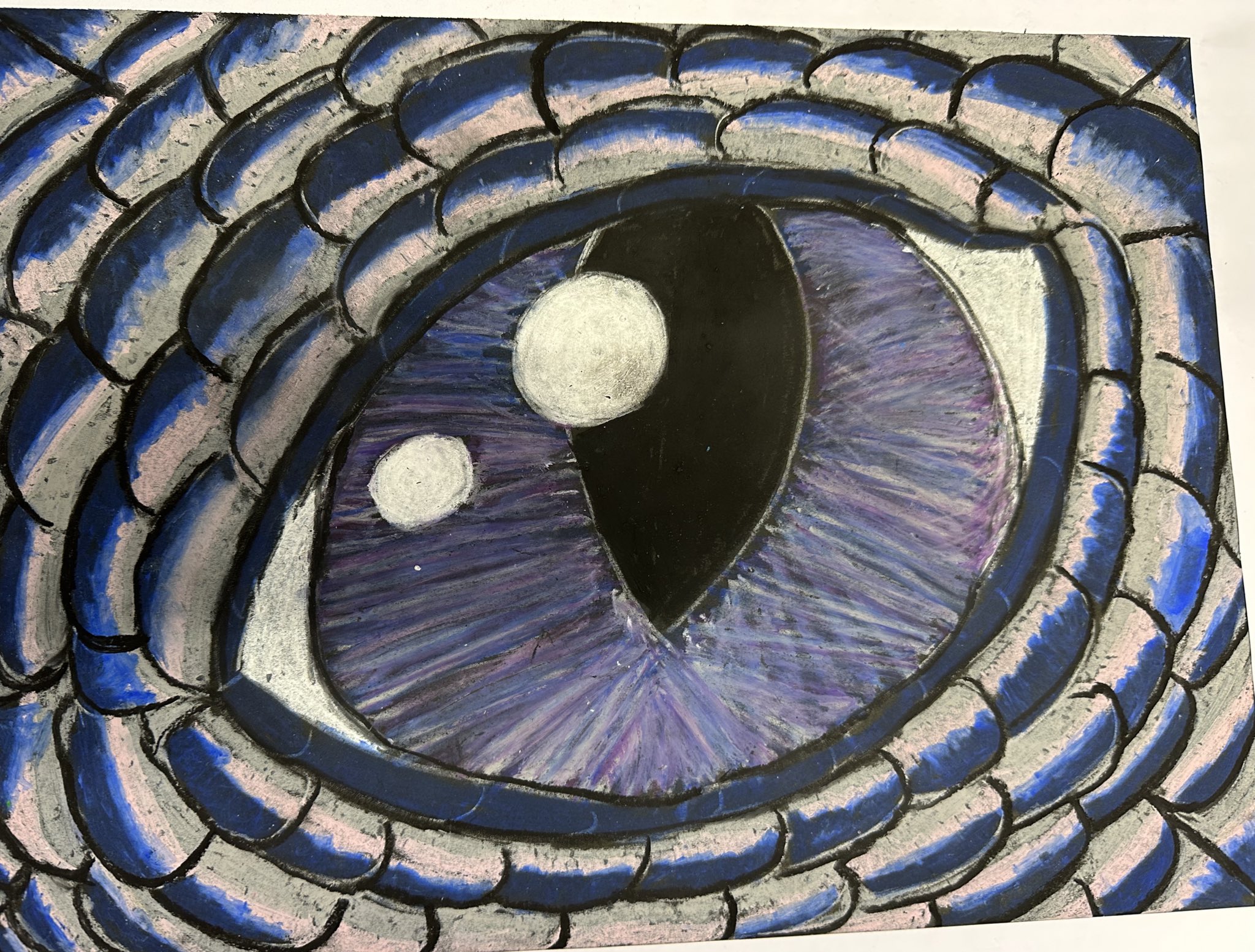 Dragon Eyes ESF Glenealy School On X: "Year 5 Have Been Looking At